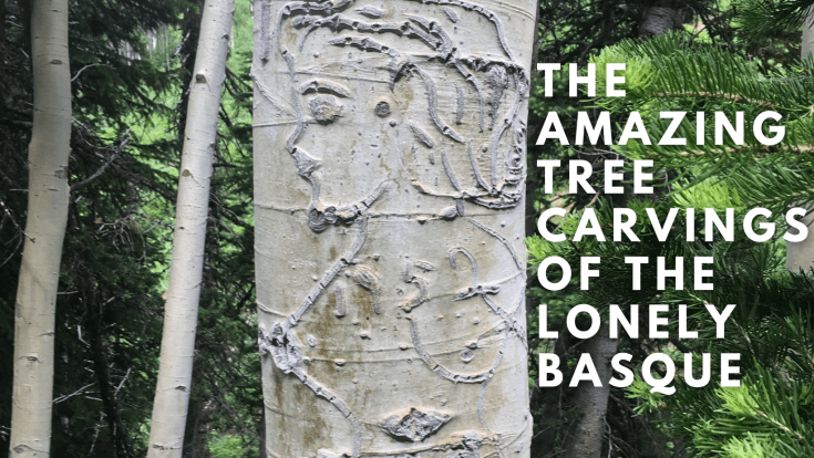 The Fascinating Tree Carvings of the Basque – Weekend Woman Warrior